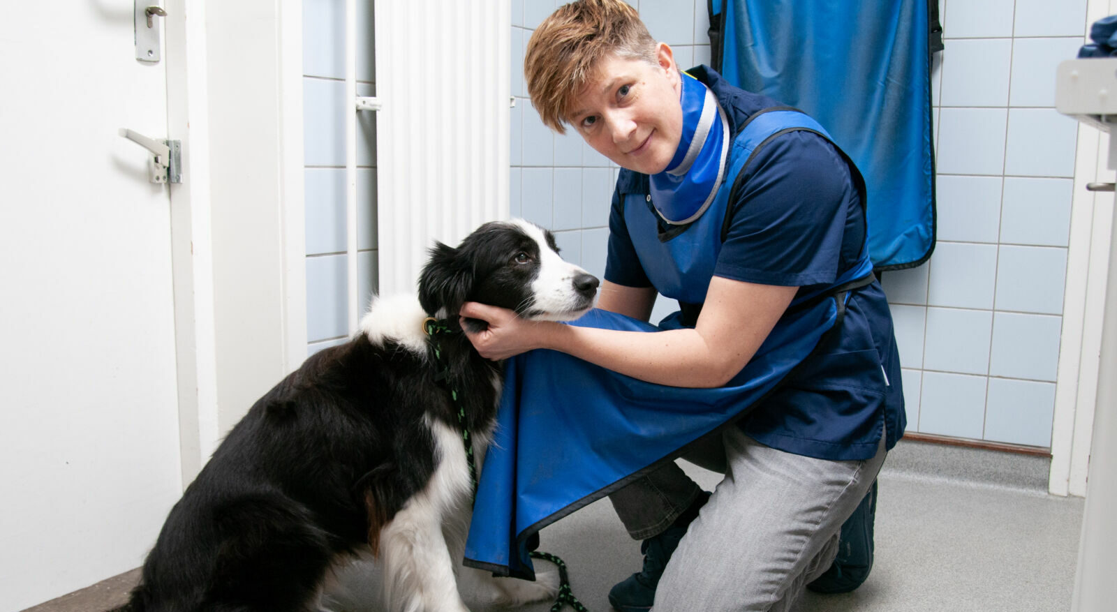 Medische beeldvorming - Dierenkliniek De Beestenhoek